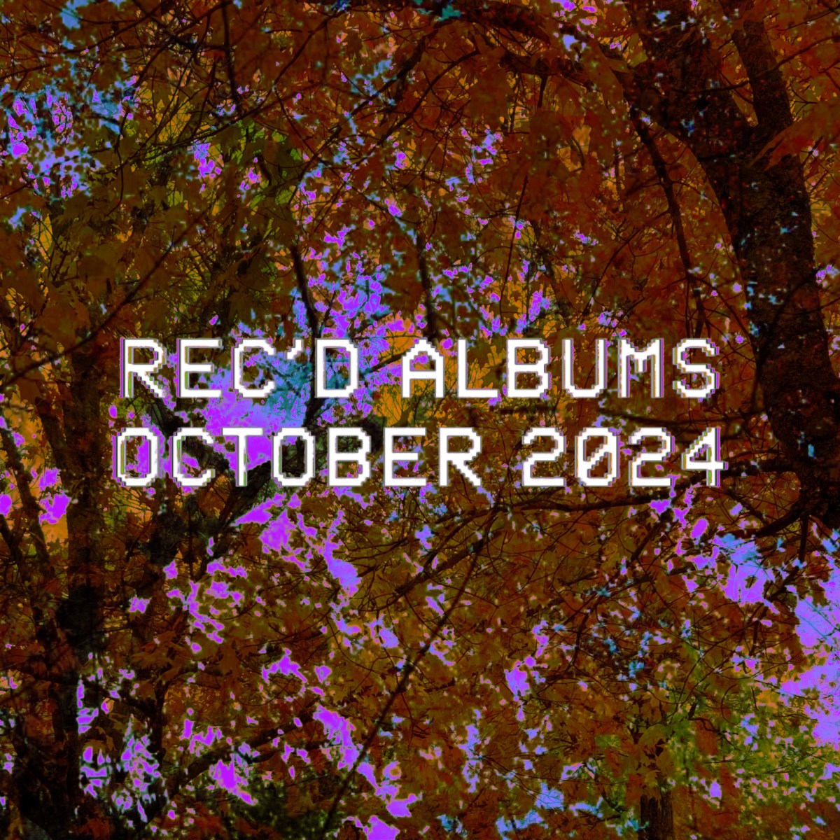 Recommended Albums: October 2024 | Warm Visions